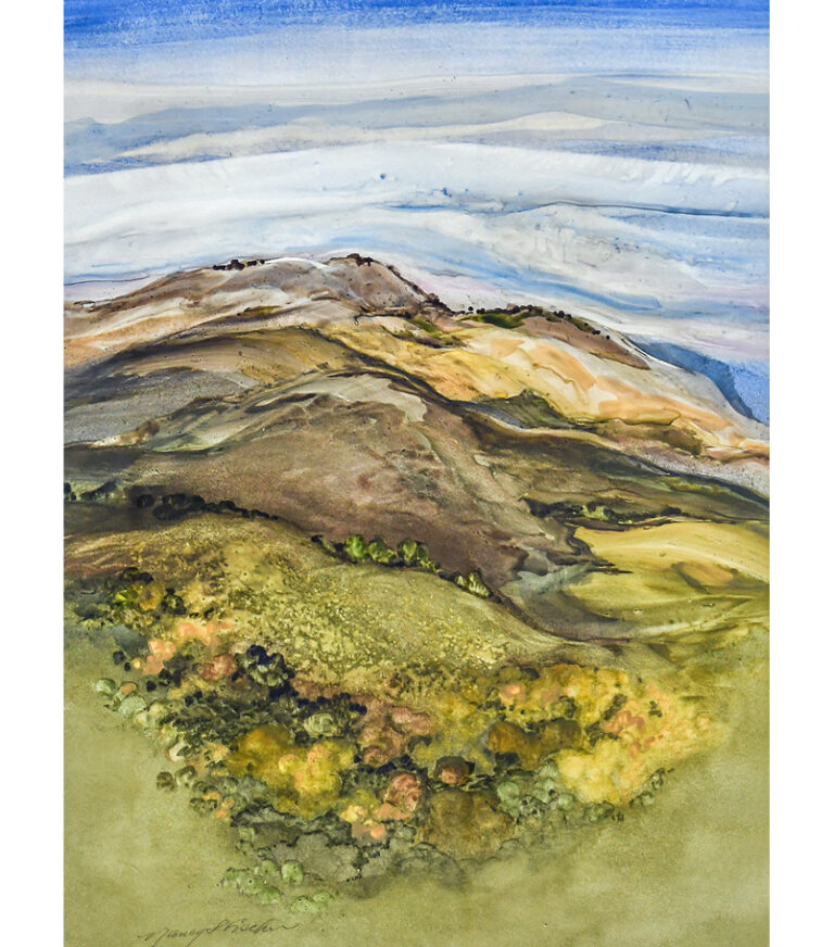 Nancy Fischer | Valley Art Gallery