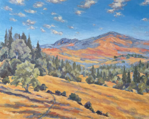 Debby Koonce | Valley Art Gallery