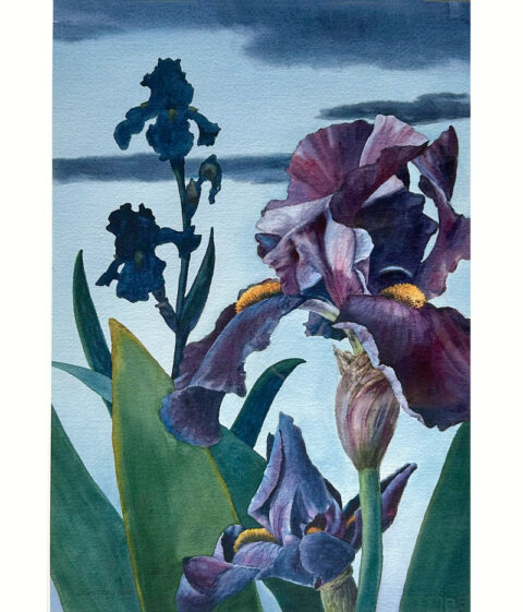 Julie Limberg | Valley Art Gallery